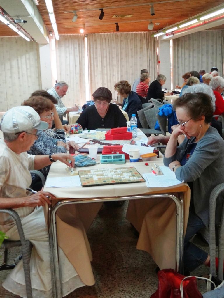 Picture Gallery (2013)